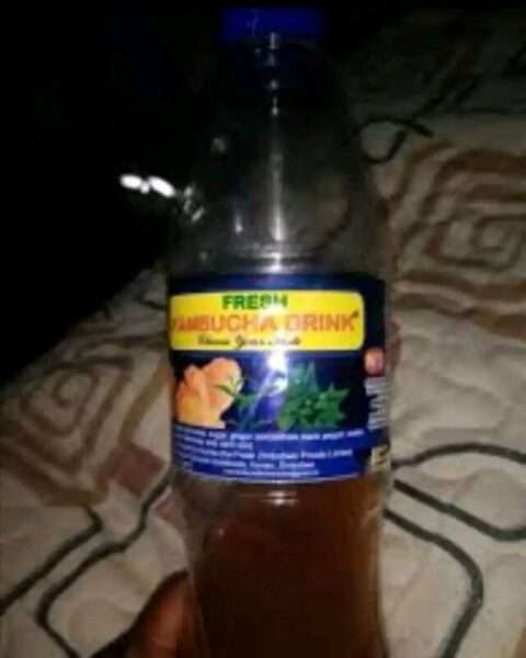 Fresh Kambucha Officially Introduces Alcoholic Drink | Zim Trending
