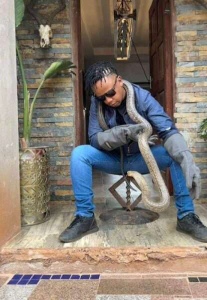 Snake Catcher Chawatama Marimo's Age Revealed | Zim Trending